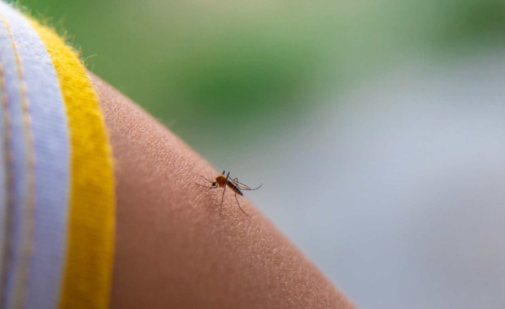 Understanding Malaria: Symptoms & Travel Clinic Advice