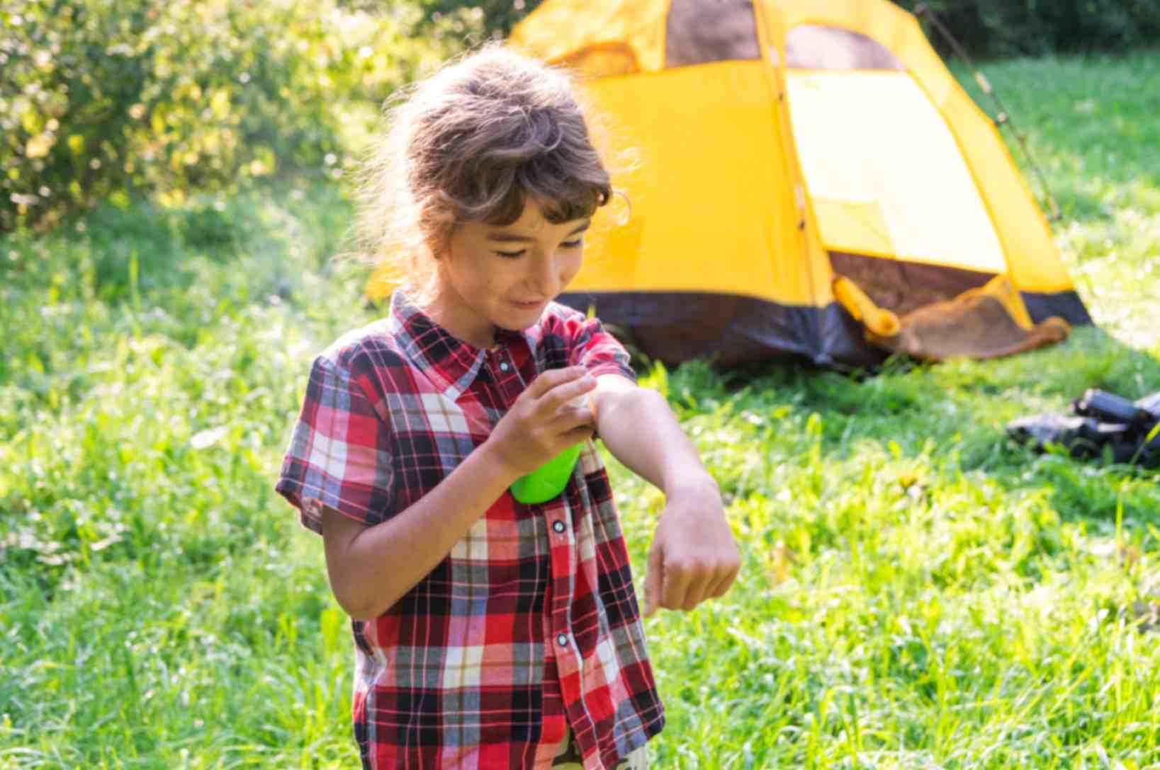 Insect Bite Relief Tips for Summer Camping Trips - Aroga Pharmacy